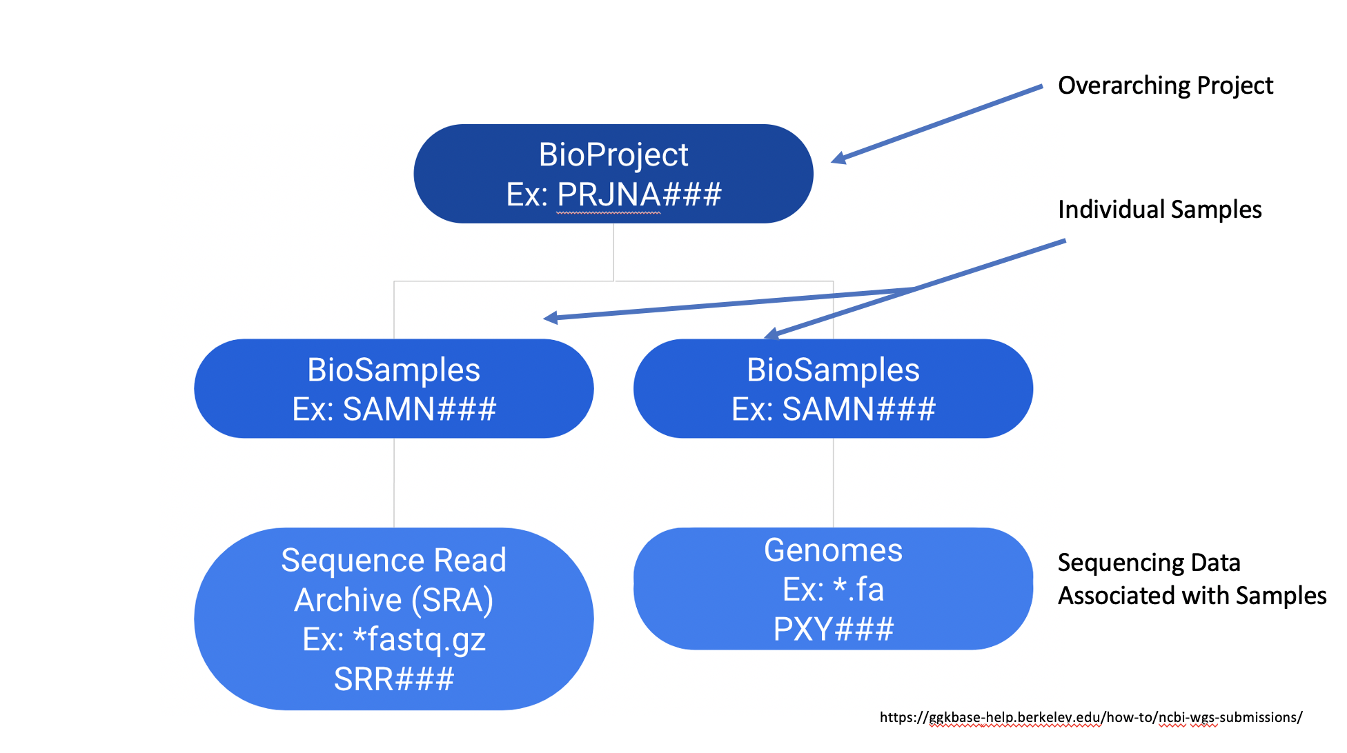 Hands-On: Loading Our Input Dataset Onto Galaxy – Lesson Title