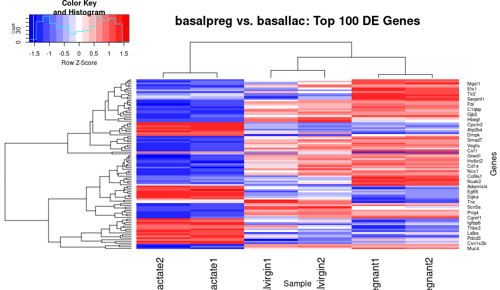 Customizing Plots in RStudio – Lesson Title