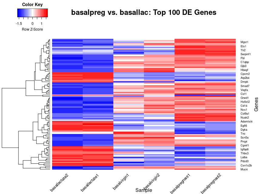Customizing Plots in RStudio – Lesson Title